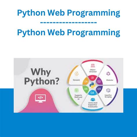 Python Web Programming