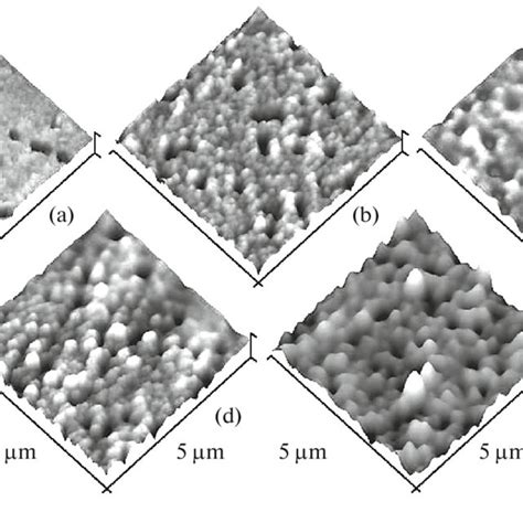 Three Dimensional AFM Images Of A Unmodified Track Etched PP Membrane
