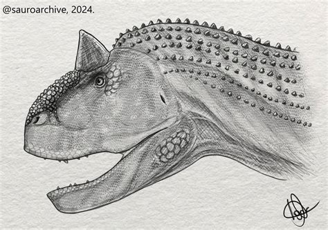 Carnotaurus Head Sketch By Sauroarchive On Deviantart