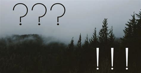 Is The Baptism Of Laity Considered Valid The Puritan Board Test Site