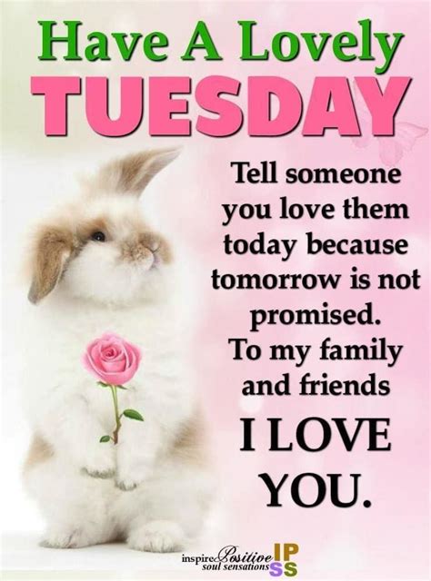 Tell Someone You Love Them Today Have A Lovely Tuesday Pictures
