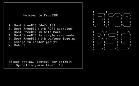 Resetting Root Password In Freebsd