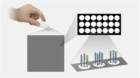 Tecnología De Microarrays Chips De Adn O Arn Crom Instituto De