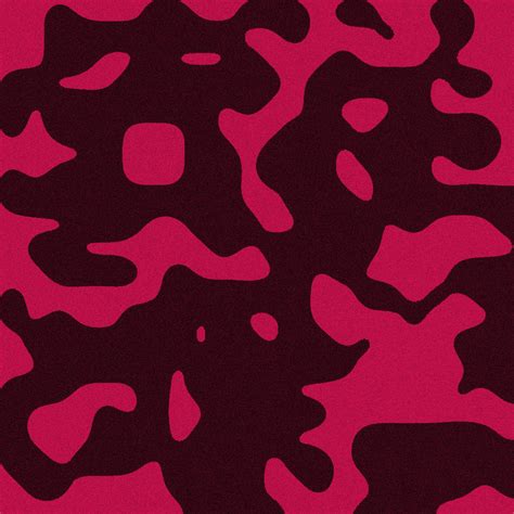 Broken Lasso Jaque Fragua