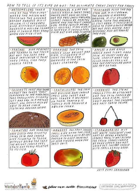 How To Tell If Its Ripe Or Not The Ultimate Cheat Sheet For Tricky Fruits The Secret