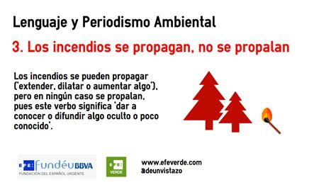 Los Incendios Forestales En Seis Claves De Redacción Efeverde