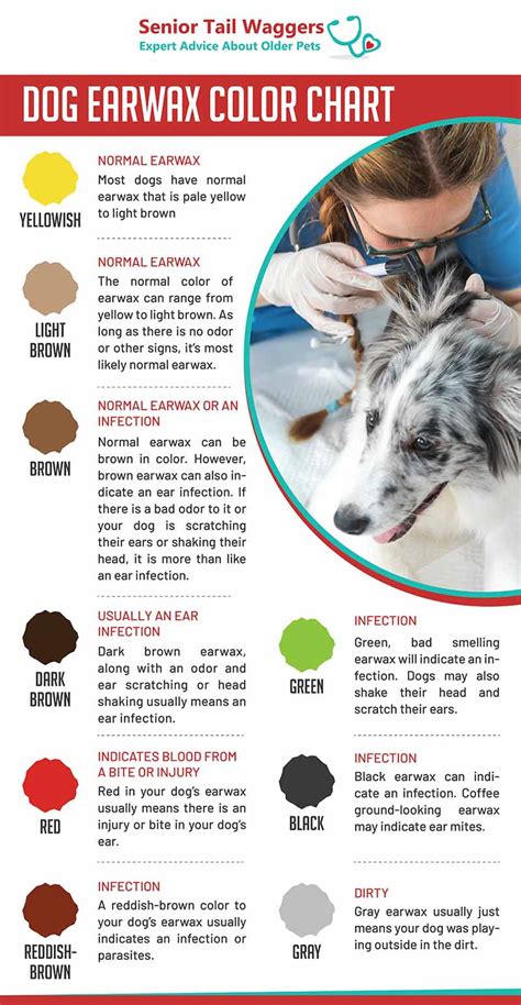Earwax Color Chart What Colour Should Earwax Be Earwax Colour Chart
