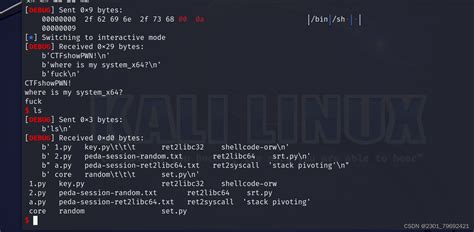 Pwn学习笔记 Week3 Csdn博客 Pwn学习笔记 Week3 Csdn博客