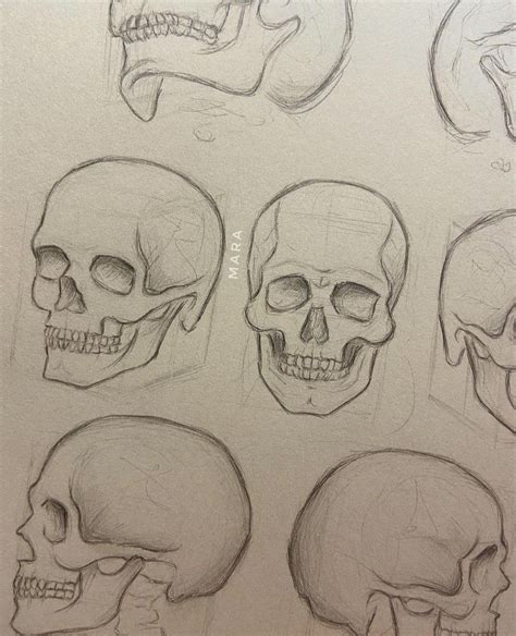 Skull Drawing Practice Artofit