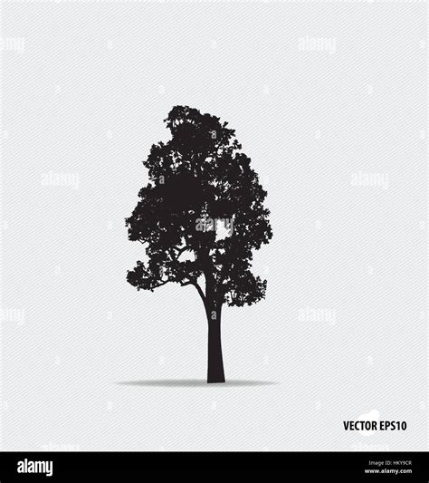 Tree Silhouette Vector Illustration Stock Vector Image And Art Alamy