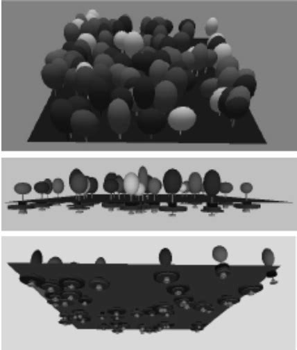 3d Visualization In Vrml Of A Plant Community Above Top View Central
