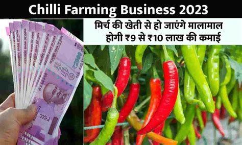 Good News For Chilli Farming Business April 2023 मिर्च की खेती से हो