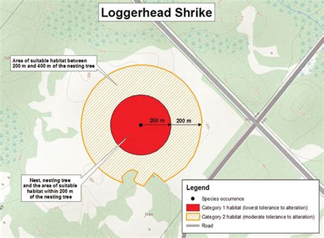 Loggerhead Shrike General Habitat Description Ontario Ca