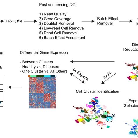 Bioinformatic Analysis Workflow Of Cellular Indexing Of Transcriptome Download Scientific