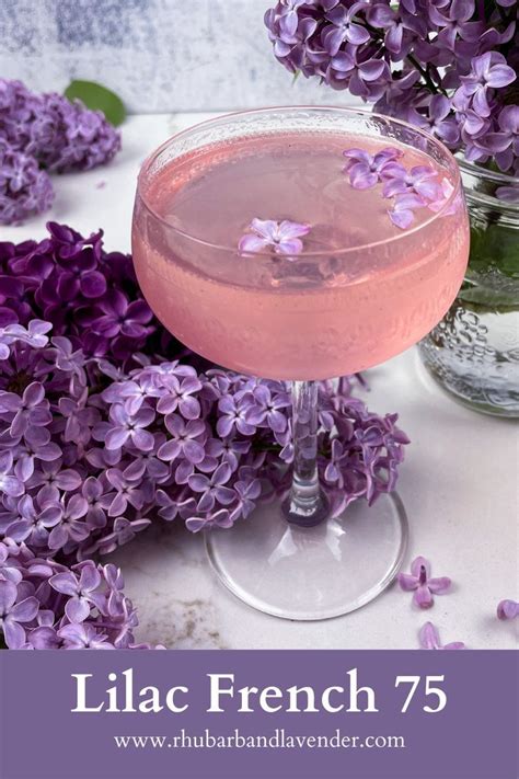 Lilac French 75 Rhubarb And Lavender Recipe In 2024 Cocktail Drinks