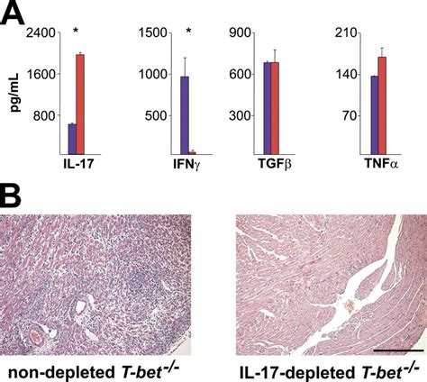 Heart Infiltrating T Bet− − Cd3⁺ T Cells Display An Altered Cytokine