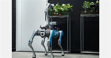 Ai Robot Automatiseert Aardbeienoogst Met Precisie