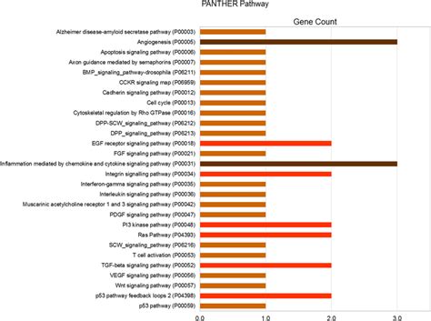 Pathway Analysis For Validated Mirna Target Genes Pathways Showing
