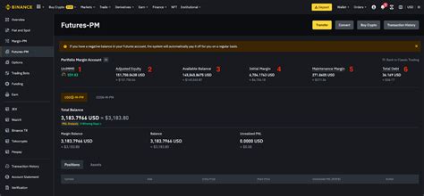How To View Portfolio Margin Information From Your Binance Account And