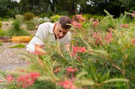 Hervé Sauquet Botanic Gardens Of Sydney