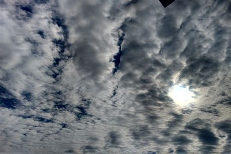 Sky169
