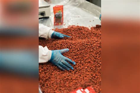 Food Infotech Magazine For Food Processing Industry On Linkedin Microencapsulation For