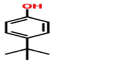 Para Tertiary Butylphenol At Best Price In India