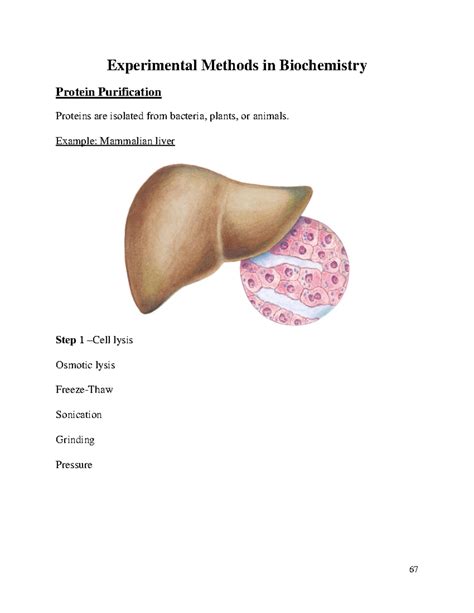 Biol 4093 3 Experimental Methods In Biochemistry Experimental Methods In Biochemistry Protein