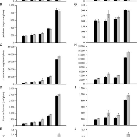 Root Morphology Of Two Maize Genotypes T149 And T222 Under Different P Download Scientific