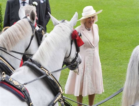 King and Queen joined by Qatar’s Sheikh Abdullah on day five of Royal Ascot