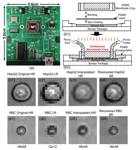 A Demonstrated Lensless Microfluidic Imaging System By Integrating