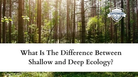 What Is The Difference Between Shallow Vs Deep Ecology Upsc