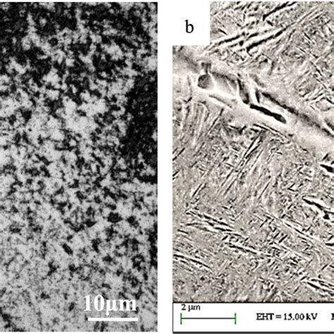 micrographs of the as cast specimen a om micrographs b sem