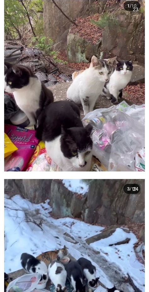 관악산 근황 포텐 터짐 최신순 에펨코리아