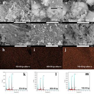 SEM Images Of A FD HAp B HD HAp C ND HAp D Commercial HAp E FD HAp Download Scientific