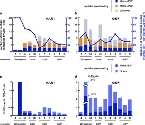 Breadth And Magnitude Of SIV Specific CD8 T Cell Responses In LTNPs