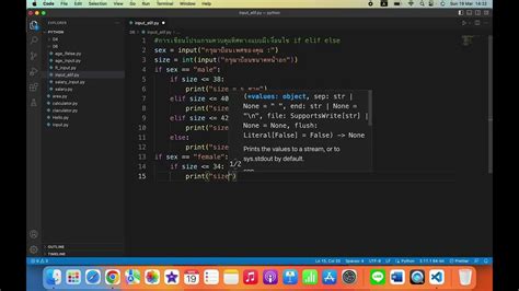 การเขียนโปรแกรมแบบมีเงื่อนไข if elif else ด้วยภาษา python youtube