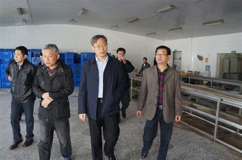 湖北省民政厅民间社团管理处领导来公司调研 湖北大自然农业实业有限公司