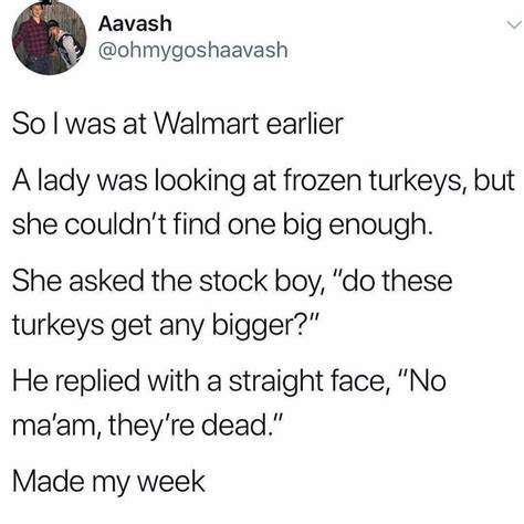 Best Thing Ive Seen Lmao Album On Imgur