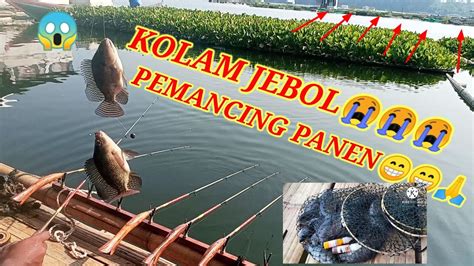 Mancing Saguling Terbaru 2022 Mancing Ikan Nila Pemancing Panen YouTube