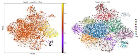 interpretation of differences between pseudotime and velocity stream