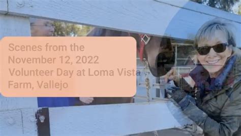 Volunteer Day November Loma Vista Farm
