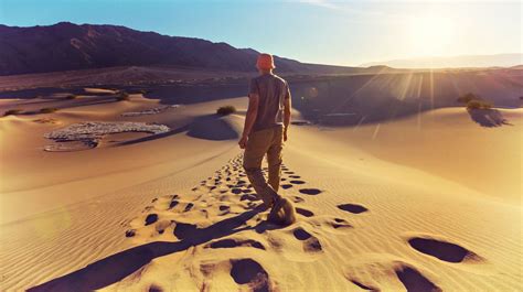 Survive The Desert A Goofy How To Video Survival Life