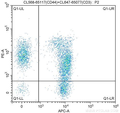 Cd44 Antibody Cl568 65117 Proteintech