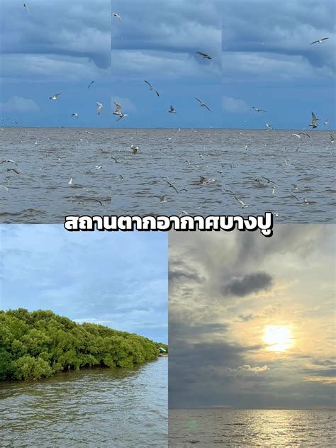 เที่ยวบางปู 1 วัน ไปไหนได้บ้าง แกลเลอรีที่โพสต์โดย Baiyok Lemon8