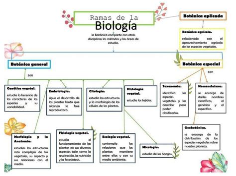 Mapa Conceptual de las Ramas de la Biología 5 mentalesyconceptuales1