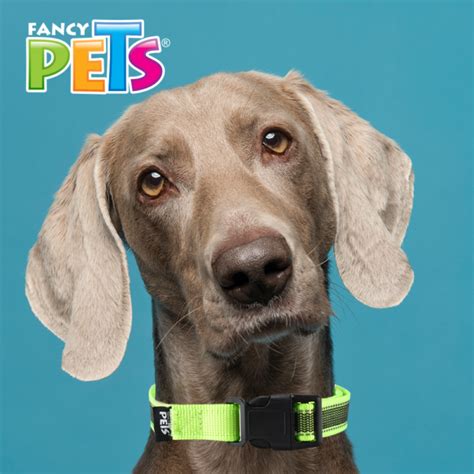 COLLAR C ULTRA GRIP Y BANDAS REFLEJANTES GDE VERDE Veterinaria Jimenez