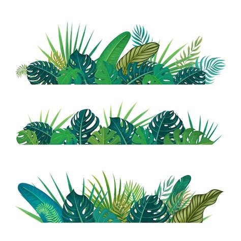 Premium Vector Tropical Border