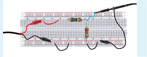 Solved Which Breadboard Setup Correctly Connects The Chegg Com