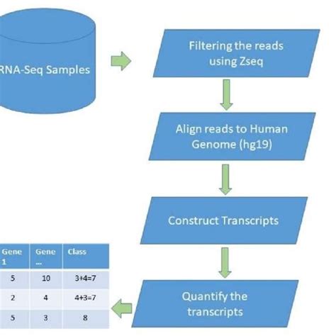 Rna Seq Data Preprocessing Pipeline Download Scientific Diagram